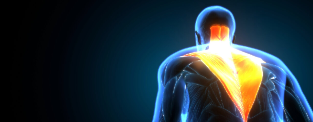 Neck Pain Relief: Posture Tips from Physical Therapy